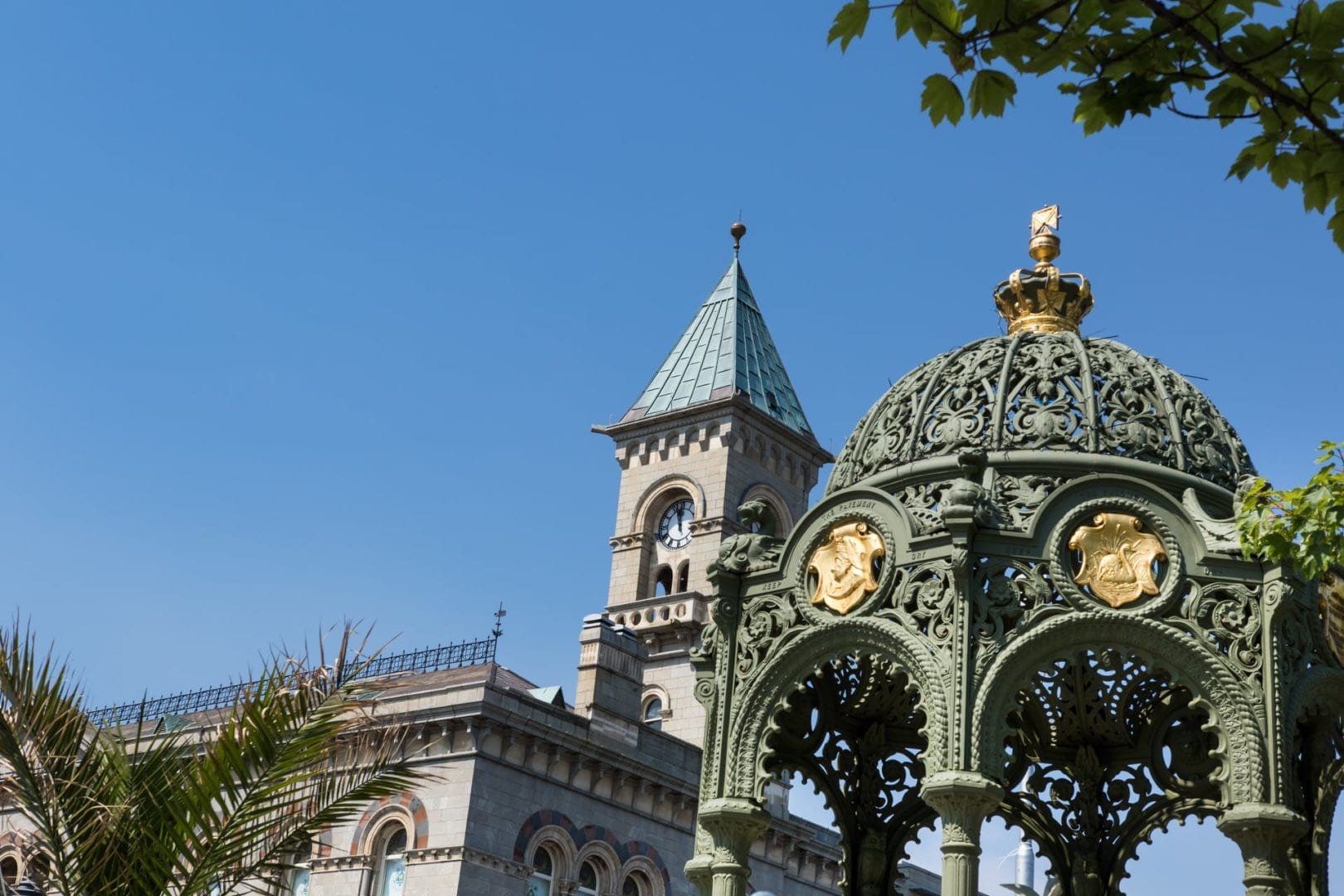 dl (79 of 270) | THE GLASSHOUSES