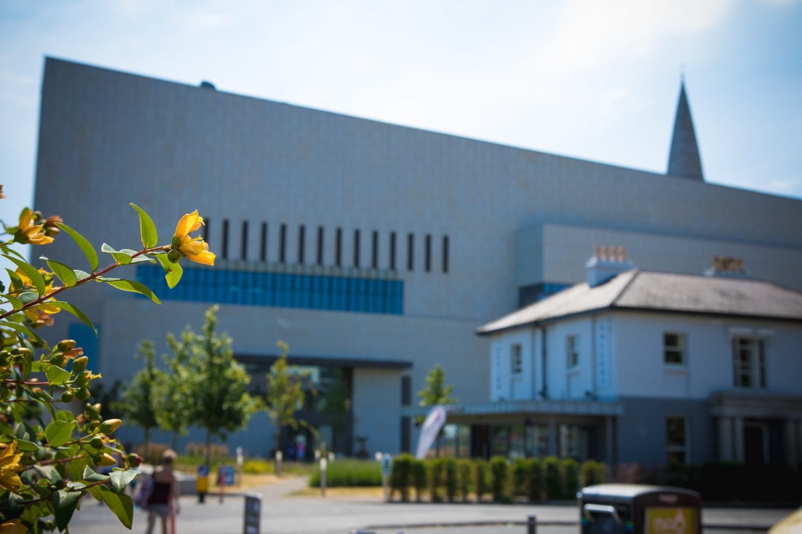 dl (86 of 270) | THE GLASSHOUSES